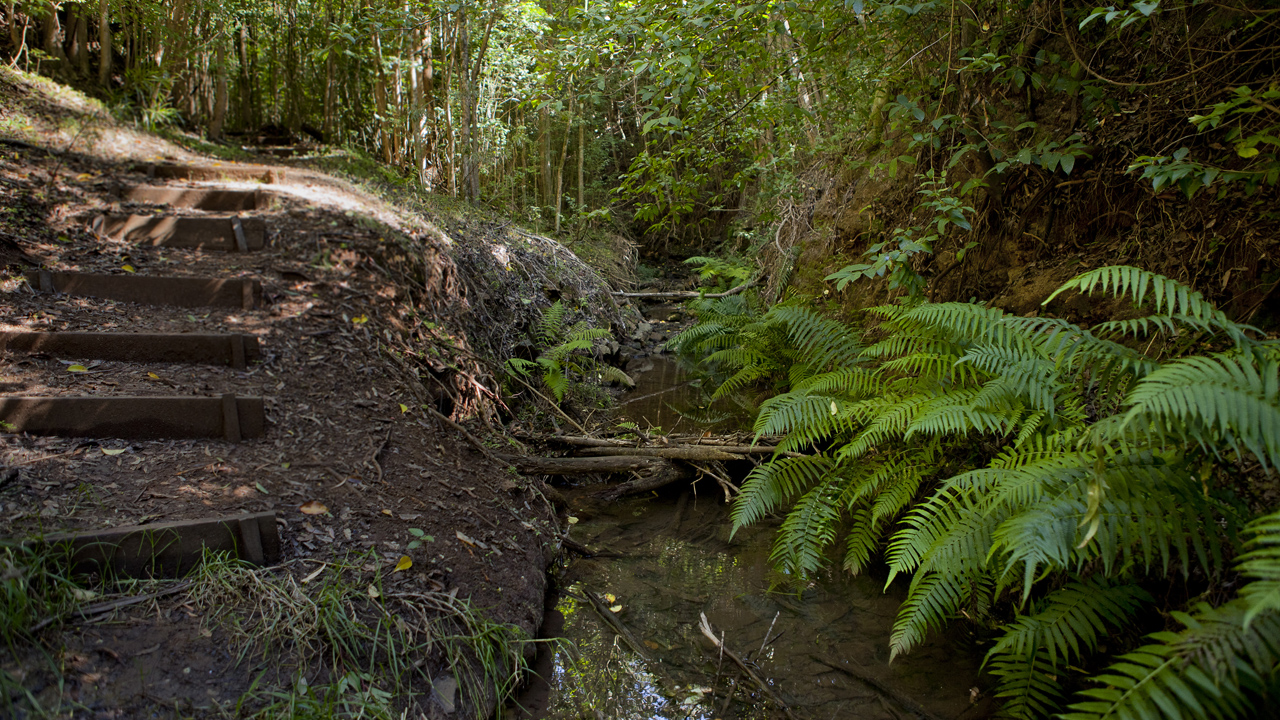 Things to See and Do - Highfields Chamber of Commerce